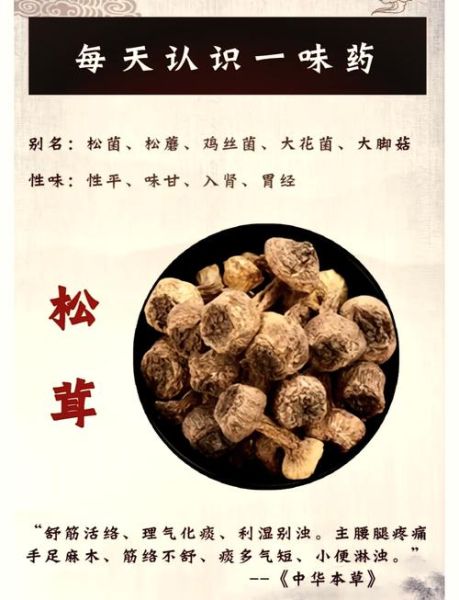 吃松茸的禁忌食物_哪些不能同吃-第1张图片-山城妙识