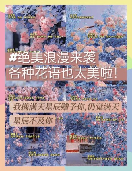 所有花语大全_花语含义是什么-第3张图片-山城妙识