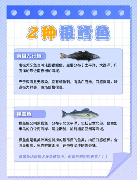 鳕鱼和银鳕鱼的区别_哪个营养价值更高-第3张图片-山城妙识