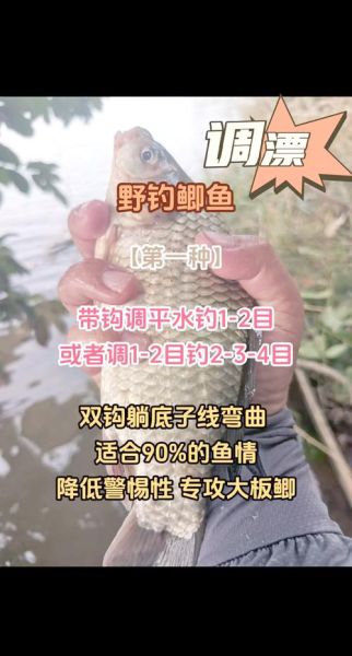 钓鲤鱼用什么饵料_钓鲤鱼怎么调漂-第1张图片-山城妙识