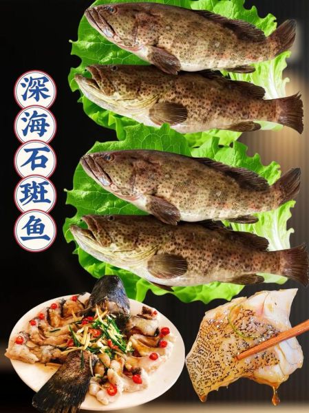野生石斑鱼多少钱一斤_野生石斑鱼价格表-第3张图片-山城妙识