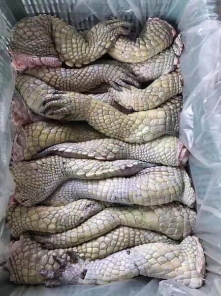 鳄鱼肉怎么做好吃_鳄鱼肉的家常做法-第1张图片-山城妙识