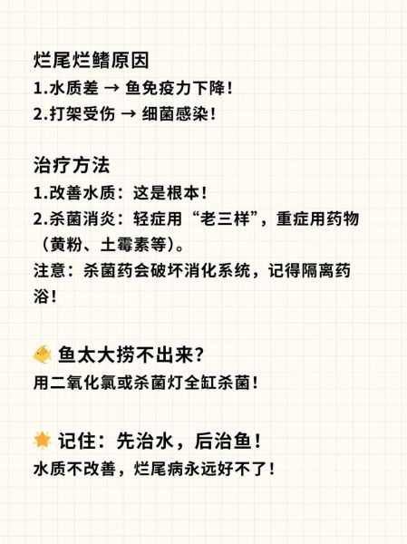 鱼鳍烂了怎么治疗_鱼鳍烂了用什么药-第1张图片-山城妙识