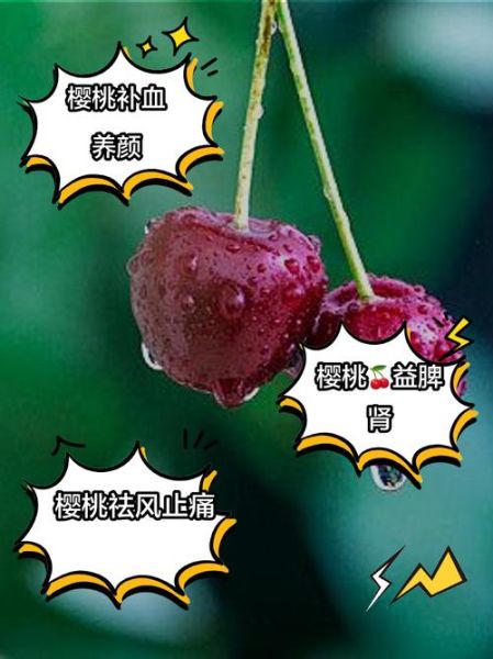 樱桃怎么挑选_樱桃的营养价值-第3张图片-山城妙识