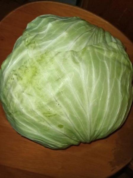莲花白和包菜的区别_哪个更适合炒菜-第2张图片-山城妙识