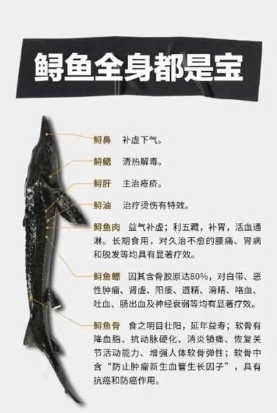 鲟鱼的营养价值_鲟鱼怎么吃最补-第3张图片-山城妙识 鲟鱼的营养价值_鲟鱼怎么吃最补-第3张图片-山城妙识