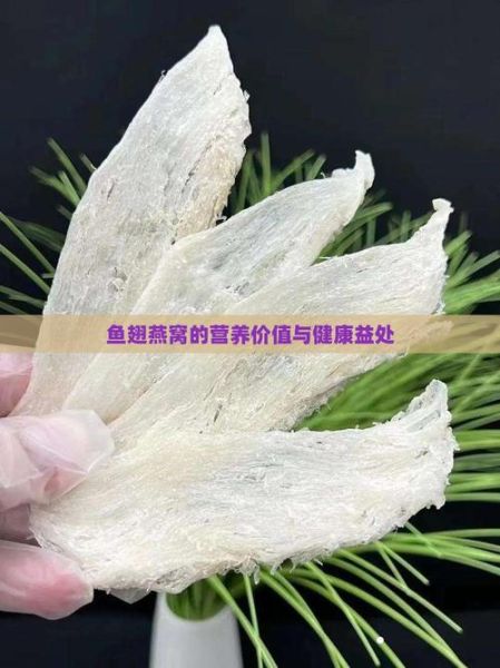 女人吃鱼翅好还是燕窝好_哪个更滋补-第3张图片-山城妙识