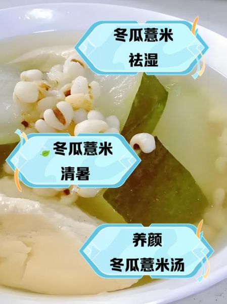 薏米冬瓜汤能减肥吗_薏米冬瓜汤的做法与功效-第1张图片-山城妙识