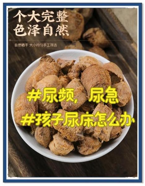 桑螵蛸是什么东西_桑螵蛸的功效与作用-第2张图片-山城妙识