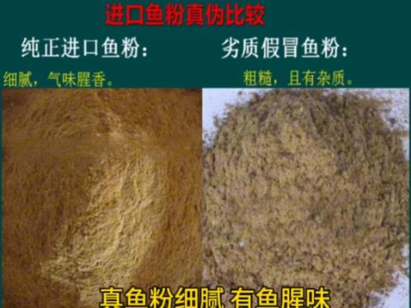 鱼粉是什么做的_鱼粉图片如何辨别真假-第1张图片-山城妙识