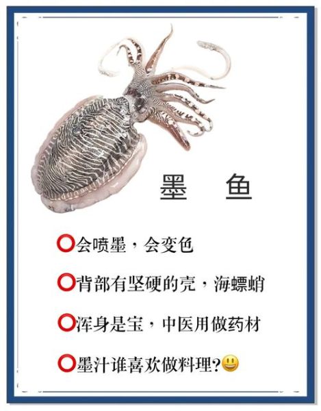 鱿鱼和章鱼有什么区别_墨鱼乌贼傻傻分不清-第3张图片-山城妙识
