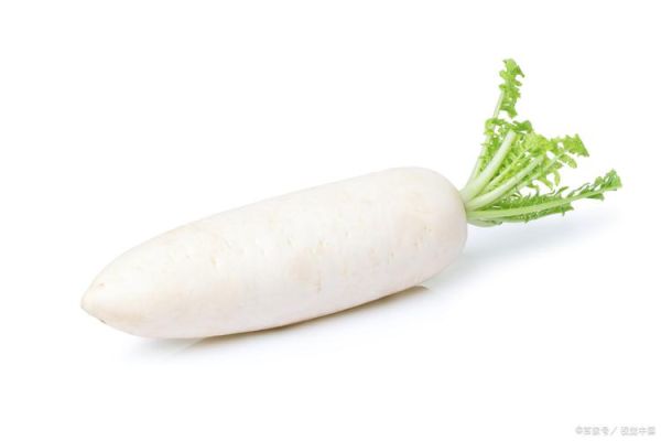 油炸蔬菜丸子怎么做_蔬菜丸子炸多久才酥脆-第2张图片-山城妙识