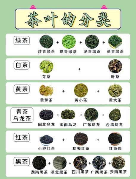 白茶属于什么茶_白茶是绿茶还是红茶-第1张图片-山城妙识