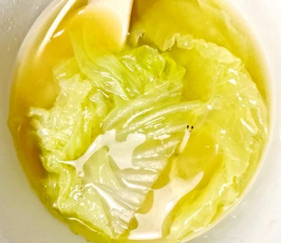 白菜汤的功效_白菜汤能减肥吗-第2张图片-山城妙识