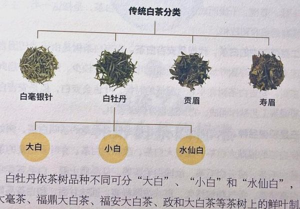 白茶属于什么茶_白茶是绿茶还是红茶-第3张图片-山城妙识