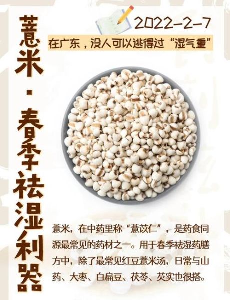 薏米怎么煮烂_薏米煮不烂怎么办-第2张图片-山城妙识