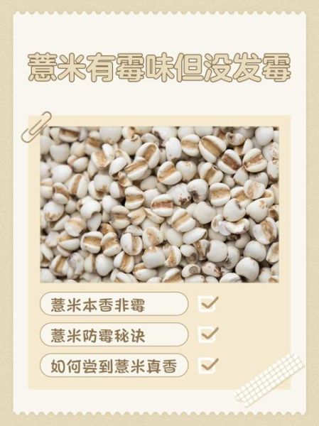 薏米怎么煮烂_薏米煮不烂怎么办-第3张图片-山城妙识