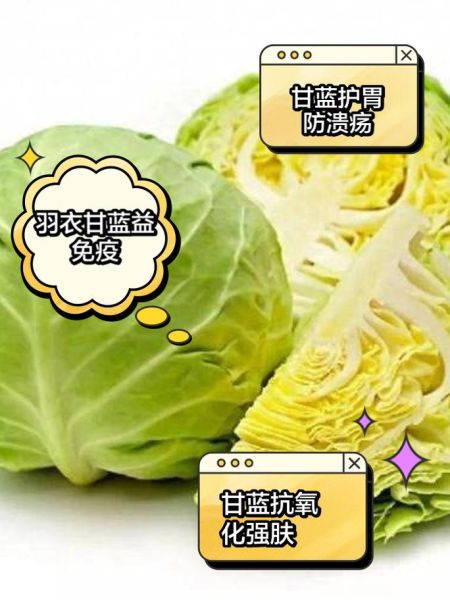 甘蓝的功效与作用_甘蓝怎么吃最健康-第1张图片-山城妙识
