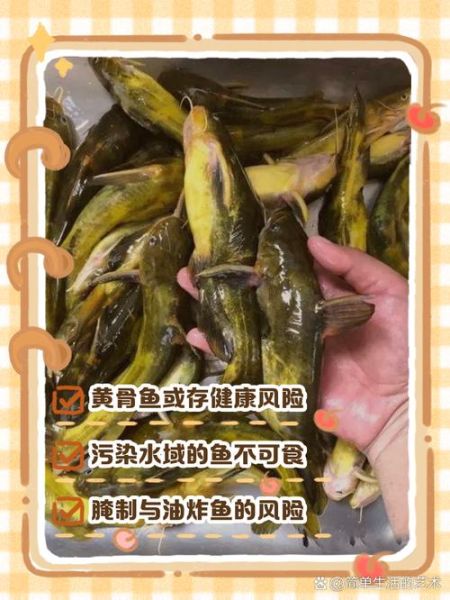 黄骨鱼哪些人不能吃_黄骨鱼禁忌人群-第1张图片-山城妙识