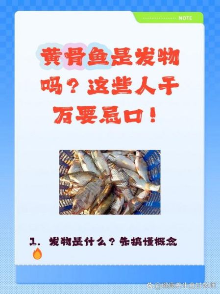 黄骨鱼哪些人不能吃_黄骨鱼禁忌人群-第2张图片-山城妙识