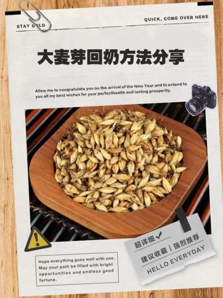 大麦茶能回奶吗_哺乳期喝大麦茶会回奶吗-第2张图片-山城妙识 大麦茶能回奶吗_哺乳期喝大麦茶会回奶吗-第2张图片-山城妙识
