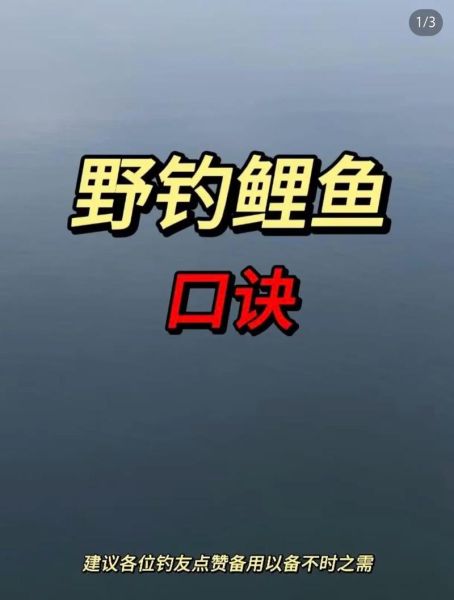 钓鲤鱼口诀大全_钓鲤鱼口诀真的有用吗-第1张图片-山城妙识