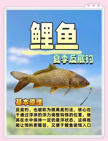 钓鲤鱼口诀大全_钓鲤鱼口诀真的有用吗-第2张图片-山城妙识