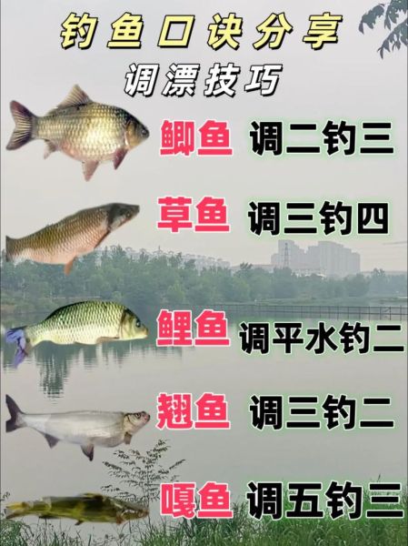 钓鲤鱼口诀大全_钓鲤鱼口诀真的有用吗-第3张图片-山城妙识