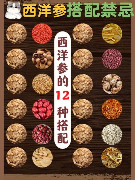 西洋参泡水喝的功效与作用_禁忌有哪些-第2张图片-山城妙识