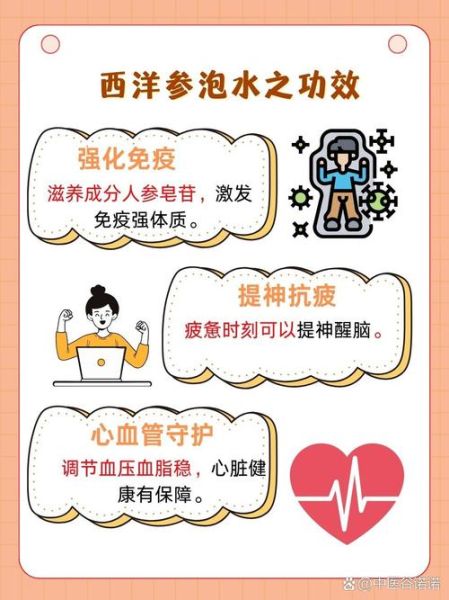 西洋参泡水喝的功效与作用_禁忌有哪些-第3张图片-山城妙识