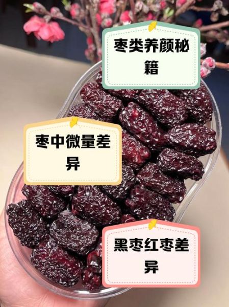 黑枣和红枣的区别在哪里_哪个更适合补血-第1张图片-山城妙识