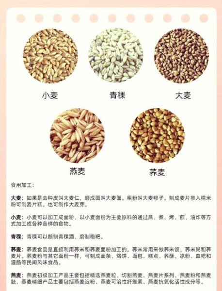 青稞和燕麦的区别_哪个更适合减肥-第1张图片-山城妙识 青稞和燕麦的区别_哪个更适合减肥-第1张图片-山城妙识
