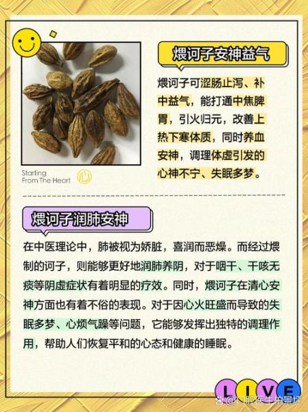 诃子有什么功效_诃子能治哪些病-第1张图片-山城妙识 诃子有什么功效_诃子能治哪些病-第1张图片-山城妙识