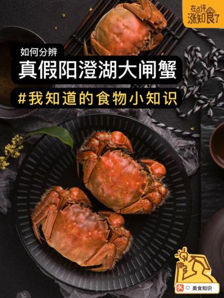 阳澄湖大闸蟹哪里买正宗_如何辨别真假-第1张图片-山城妙识