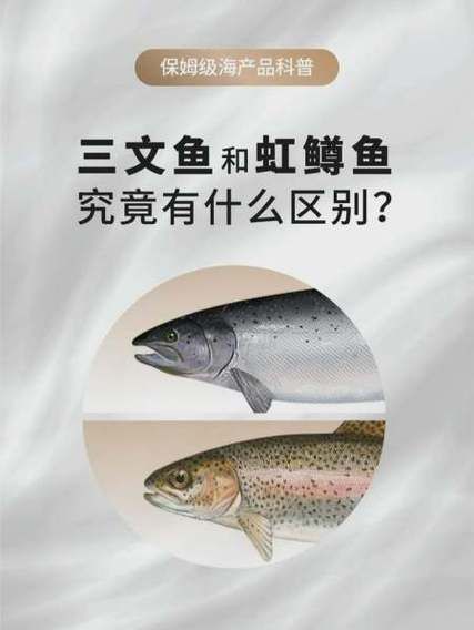 虹鳟鱼怎么炖汤好喝_虹鳟鱼汤做法窍门-第2张图片-山城妙识