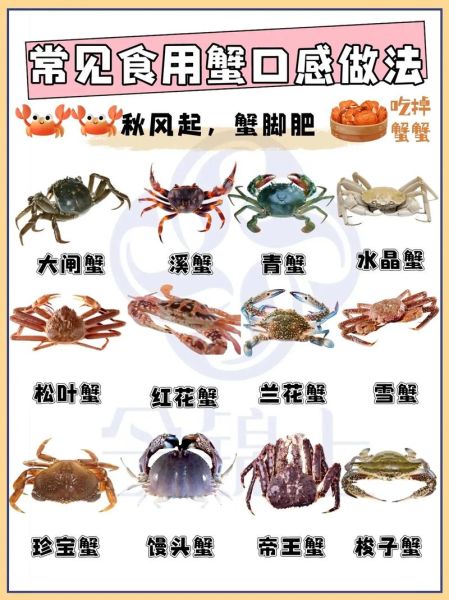 螃蟹吃什么_螃蟹怎么养殖-第3张图片-山城妙识