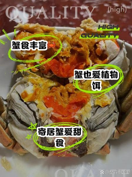 螃蟹吃什么_螃蟹怎么养殖-第2张图片-山城妙识