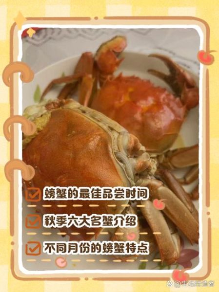 大闸蟹什么季节吃最好_大闸蟹最佳食用月份-第3张图片-山城妙识