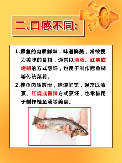 鳜鱼为什么叫桂鱼_鳜鱼和桂鱼区别-第3张图片-山城妙识