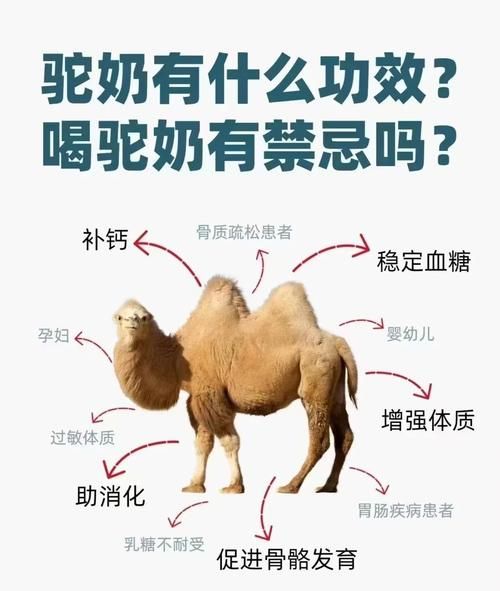 驼奶粉的功效与作用适合人群_驼奶粉适合哪些人喝-第1张图片-山城妙识