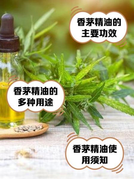 香茅精油驱蚊效果怎么样_香茅精油怎么使用-第1张图片-山城妙识