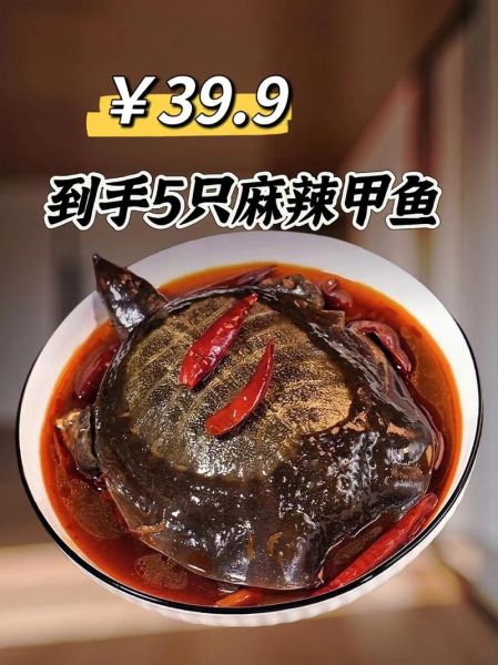 麻辣甲鱼最正宗的配料_怎么做才够味-第3张图片-山城妙识