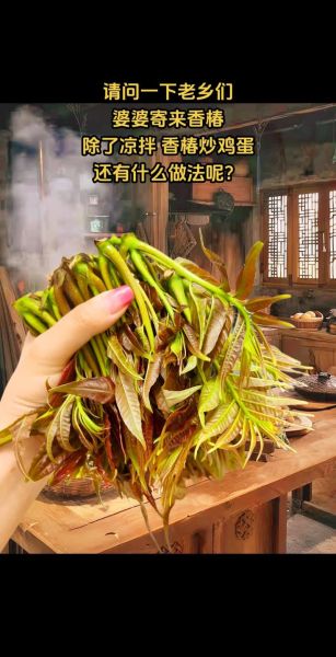 香椿怎么吃才安全_香椿芽怎么焯水去毒-第1张图片-山城妙识