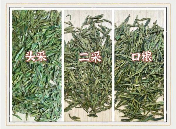 龙井属于绿茶吗_龙井茶与绿茶区别-第1张图片-山城妙识