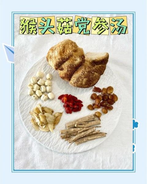 鲜猴头菇怎么做好吃_鲜猴头菇的功效与作用-第3张图片-山城妙识