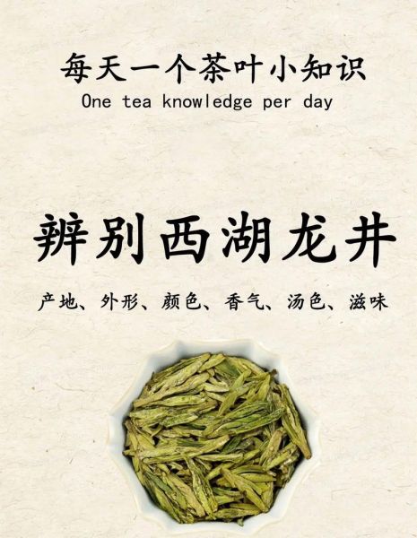 龙井属于绿茶吗_龙井茶与绿茶区别-第2张图片-山城妙识