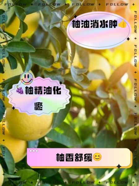 葡萄柚精油的功效与作用_葡萄柚精油的副作用-第1张图片-山城妙识