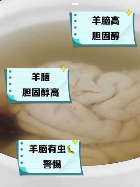 羊脑的功效与作用_羊脑的禁忌有哪些-第2张图片-山城妙识