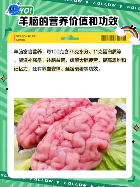 羊脑的功效与作用_羊脑的禁忌有哪些-第1张图片-山城妙识