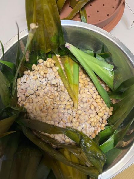水豆豉的制作方法_家庭自制水豆豉怎么做-第1张图片-山城妙识